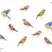 Bird Window Stickers, Bird Window Decoration, Spring Window Sticker ...