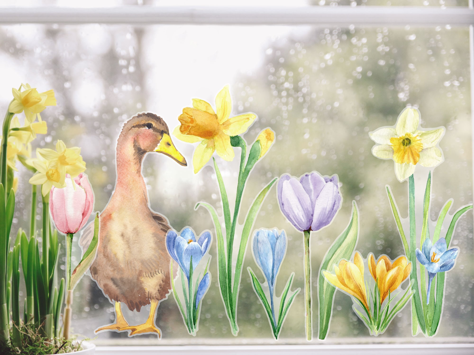 Spring Window Stickers – Daffodils and Duck Easter Window Stickers ...