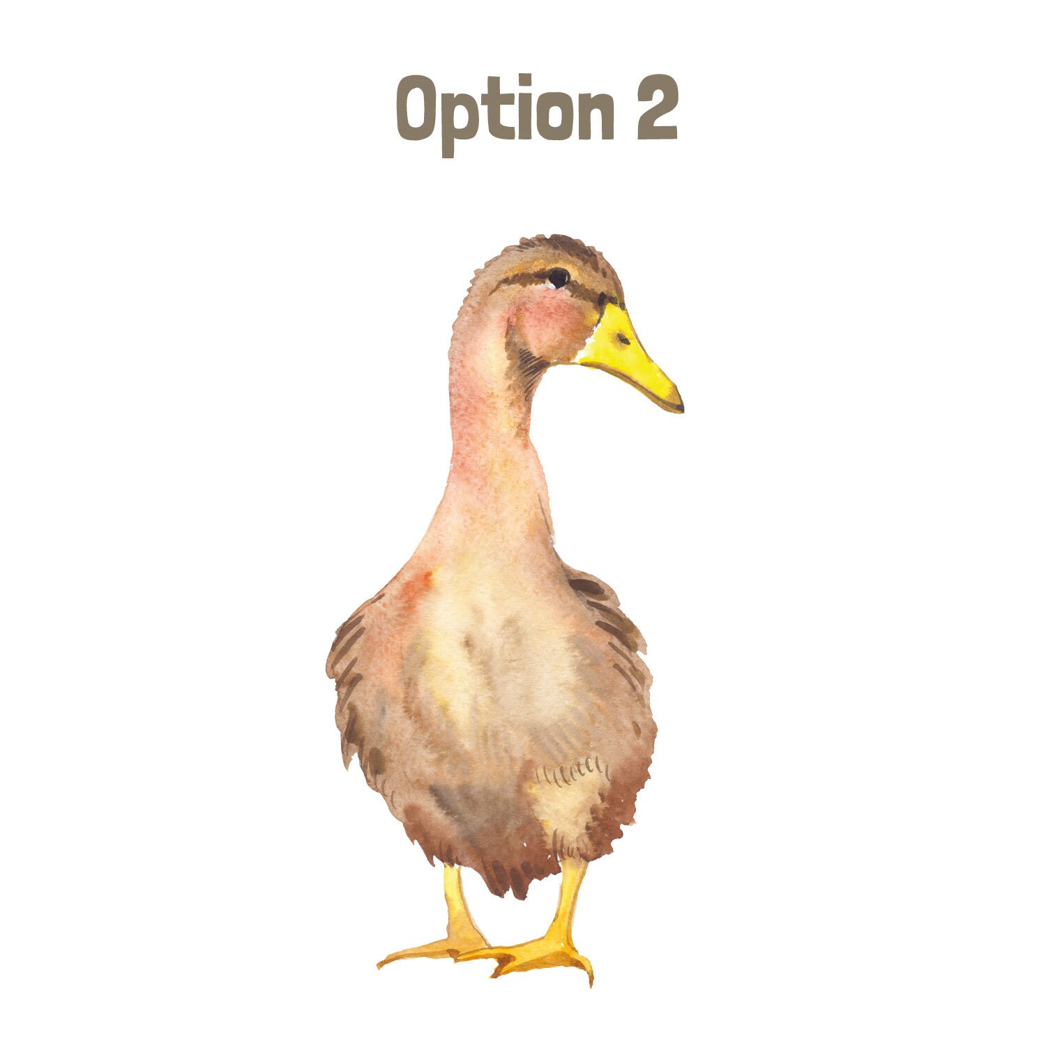 Duck Window Stickers Duck Window Decal Spring Duck Window | Etsy