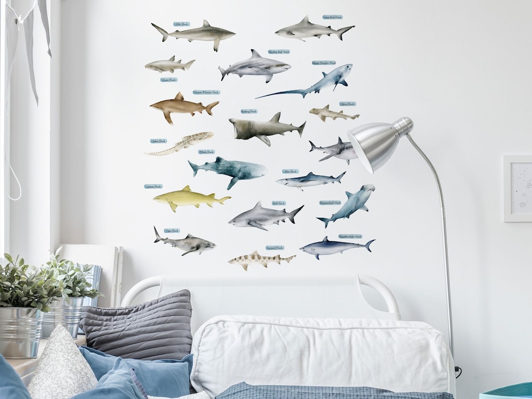Shark Wall Stickers, Underwater Wall Decals, Whale Stickers for Walls ...