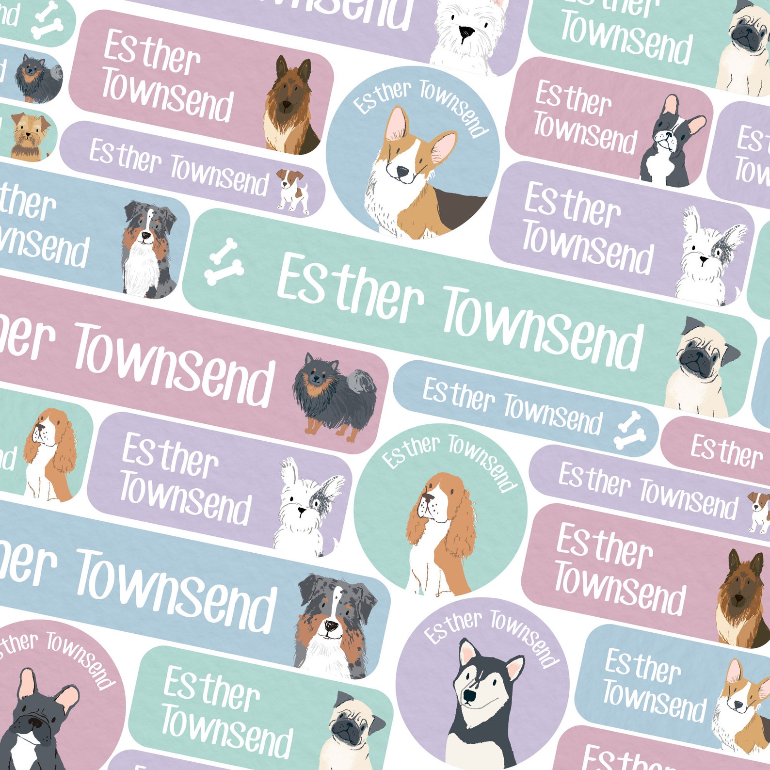 50 or 123 Stick on Name Labels, Dog Name Labels, Pet School Name ...