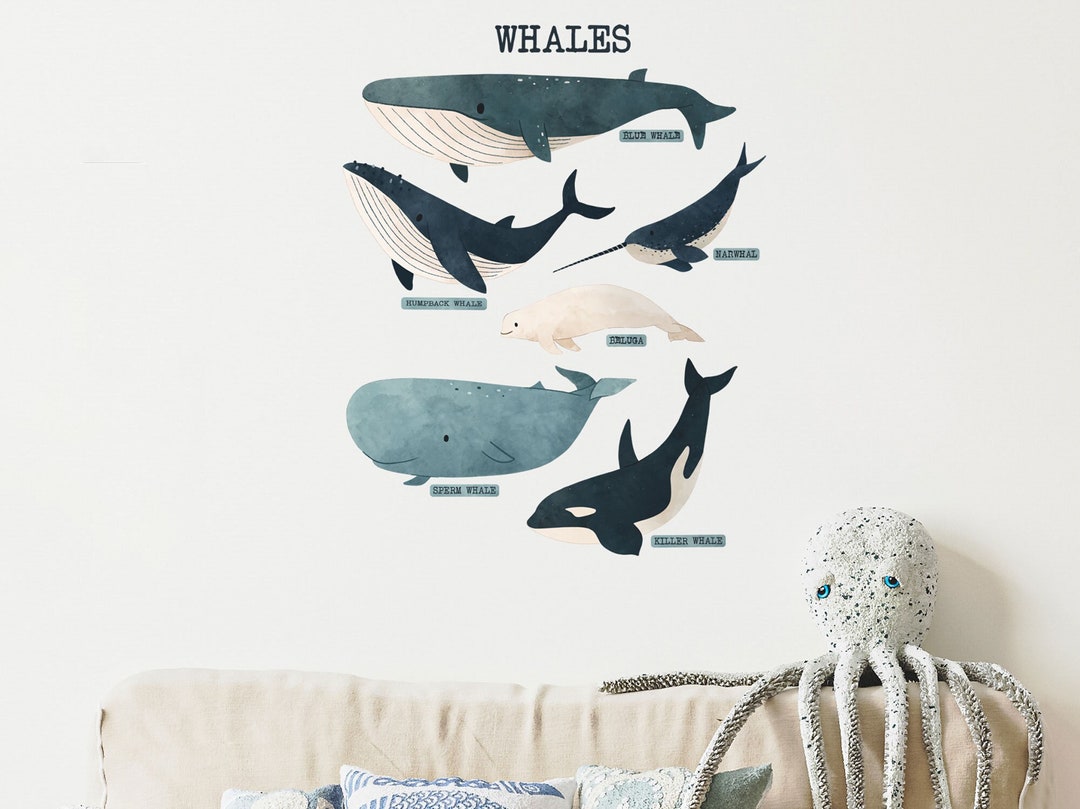 Whale Wall Sticker Pack, Underwater Wall Decals, Whale Stickers for ...