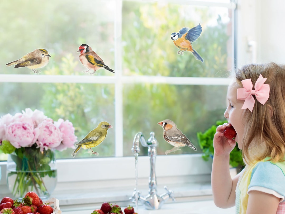 Bird Window Stickers, Bird Window Decoration, Spring Window Sticker ...