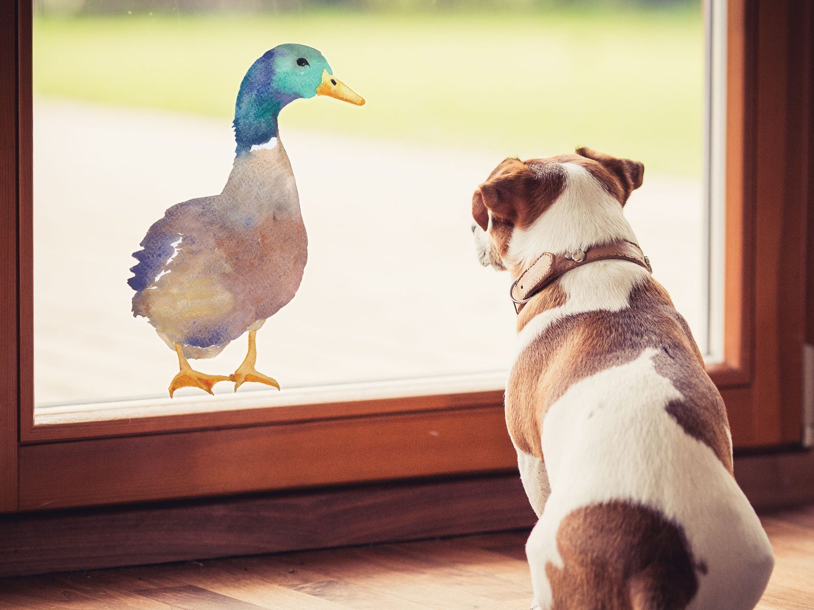 Duck Window Stickers, Duck Window Decal, Spring Duck Window Sticker ...