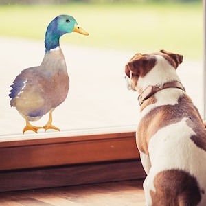 Duck Window Stickers, Duck Window Decal, Spring Duck Window Sticker ...