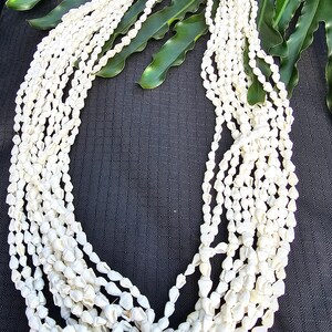Hanging Nasa Dovetail Shell Lei - Hula Costume Accessories Necklace - Etsy