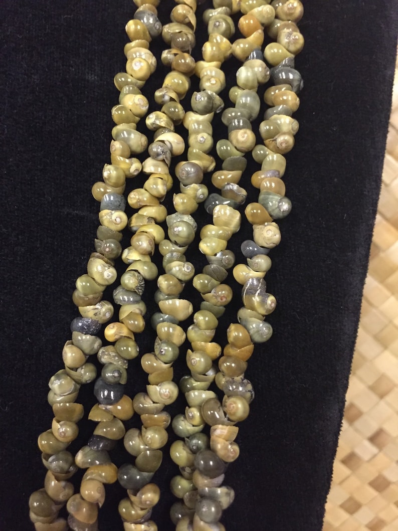Hanging Mongo Shell Lei - 5 Strands - Etsy
