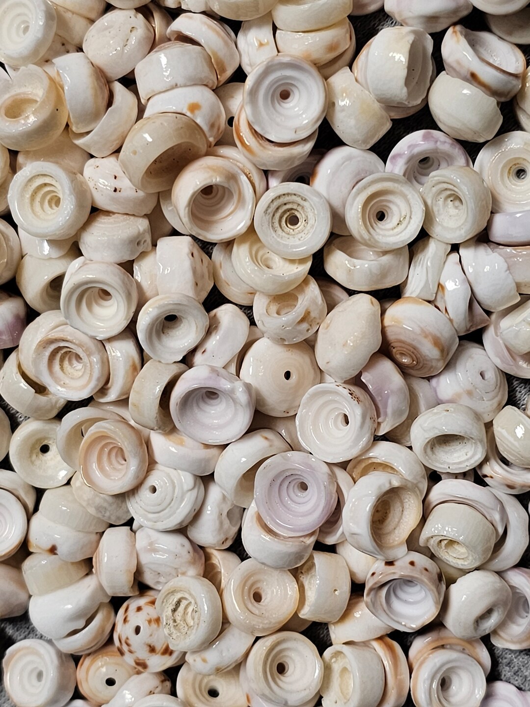 Real Puka Shells 6mm10mm Arts and Crafts Jewelry Making Beads 100% - Etsy