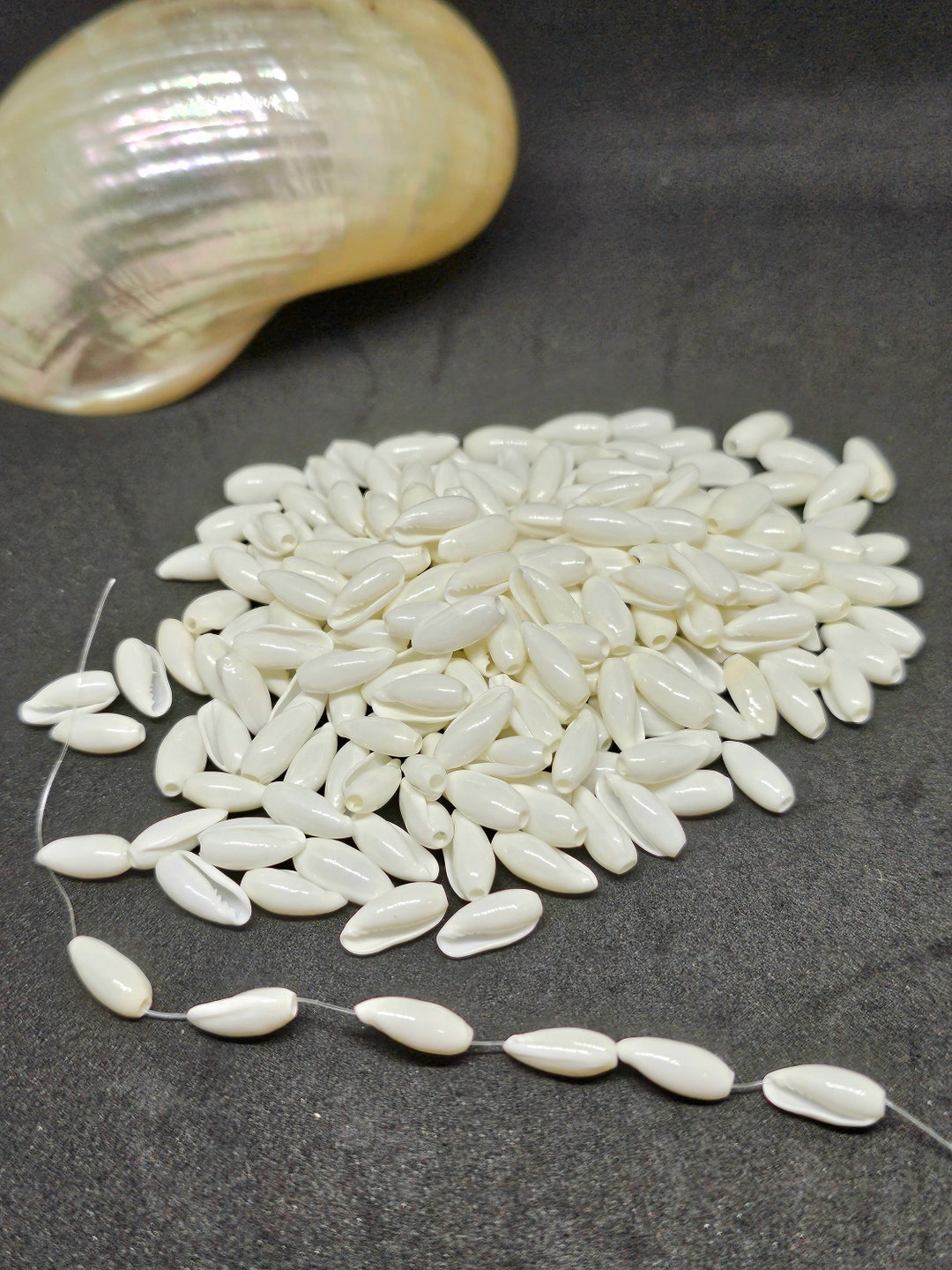 White Rice Seashells 10mm-11mm - Lot of 50, 100, 200 - Etsy