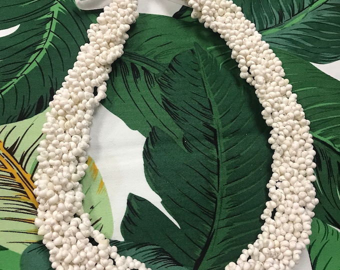 Hawaiian Braided Mongo Real Seashell for Necklace or Haku or Hat Band ...