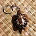 Nasa Shell Lei Dove Tail Shell by Dozen Bulk Costume Necklace Hawaiian ...