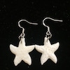 Nasa Shell Lei - Dove Tail Shell by Dozen Bulk Costume - Necklace ...