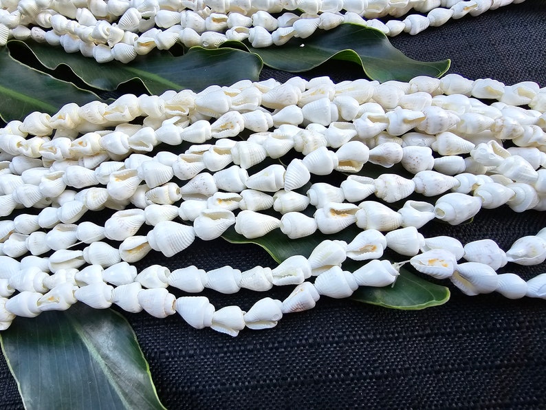 Hanging Nasa Dovetail Shell Lei - Hula Costume Accessories Necklace - Etsy