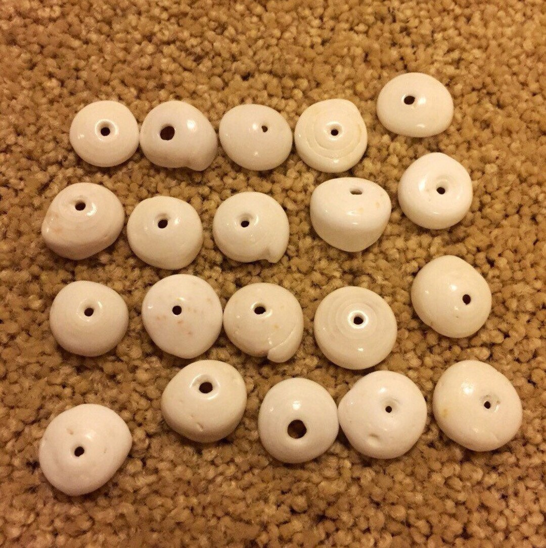 Real Puka Shells 8mm10mm Arts and Crafts Jewelry Making - Etsy