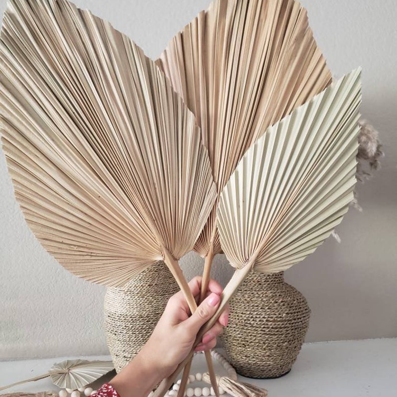 Palm Leaf Hand Fans - Etsy