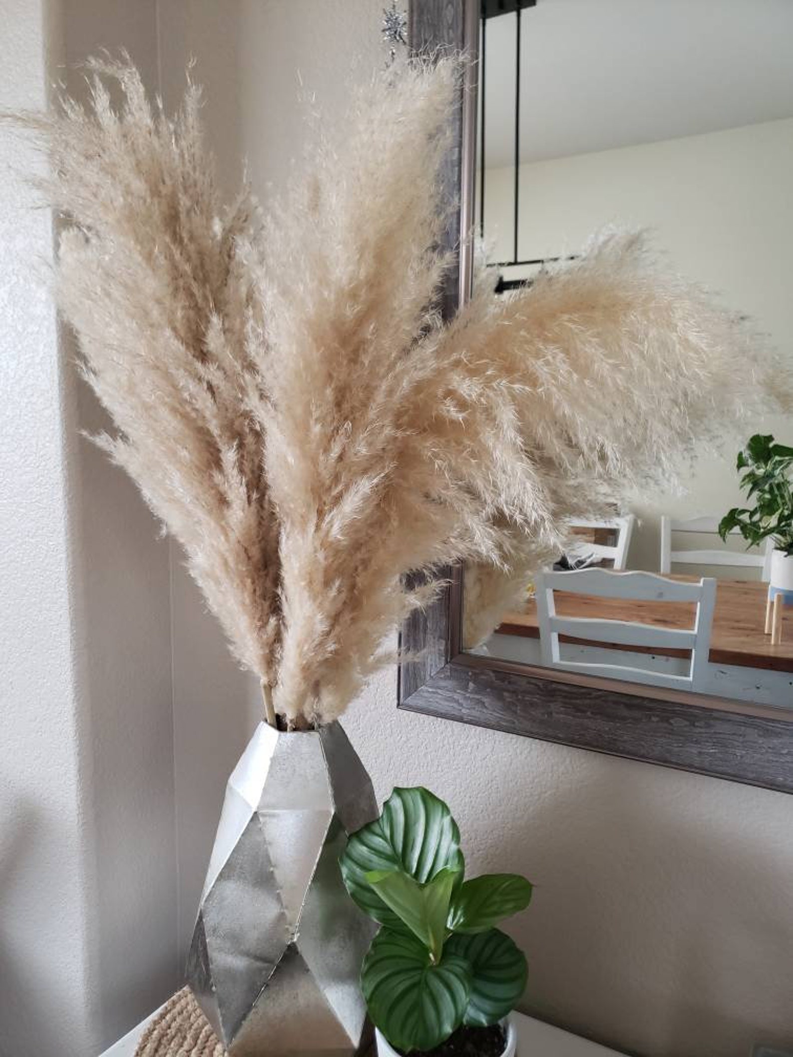 CREAM PAMPAS GRASS 36 to 48 Inches in Length Boho Decor - Etsy