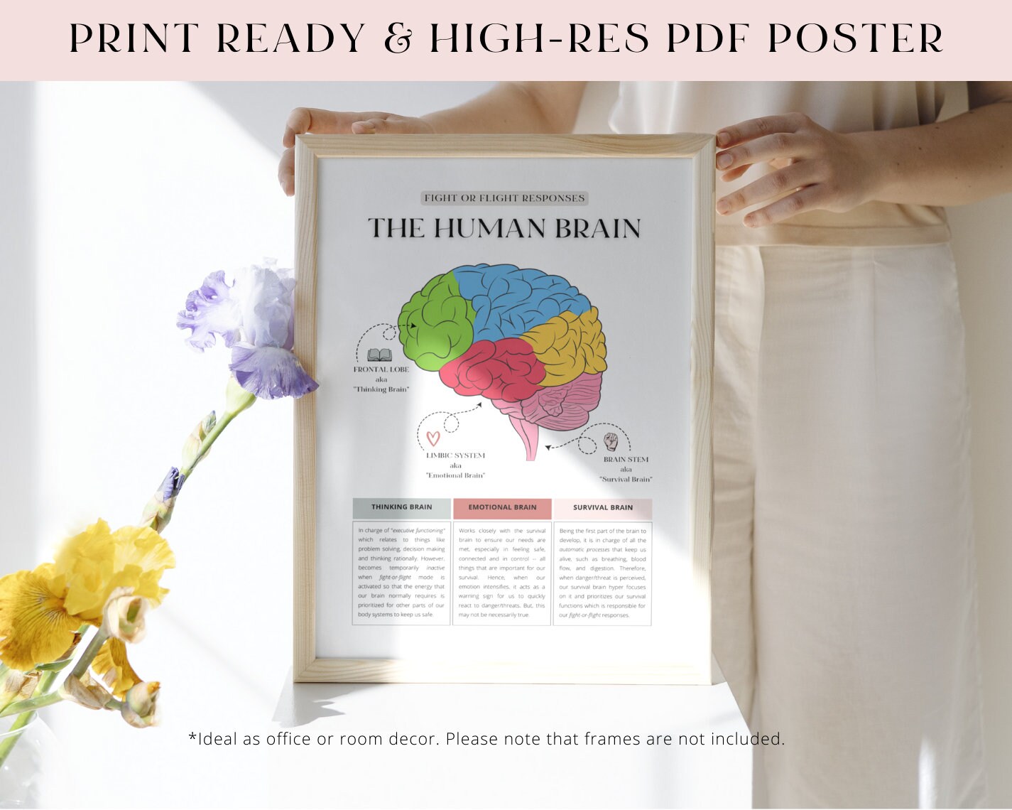 FIGHT OR FLIGHT Thinking, Emotional, Survival Brain, Trauma Responses ...