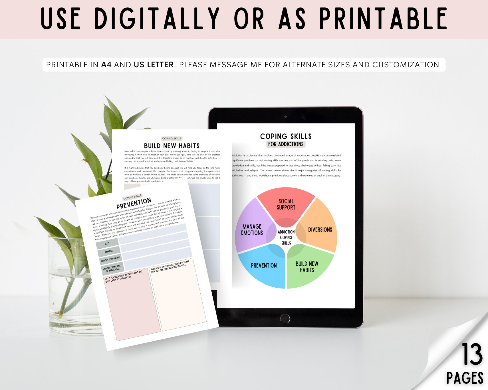 ADDICTIONS COPING SKILLS -- Overcome Addiction / Emotional Regulation ...