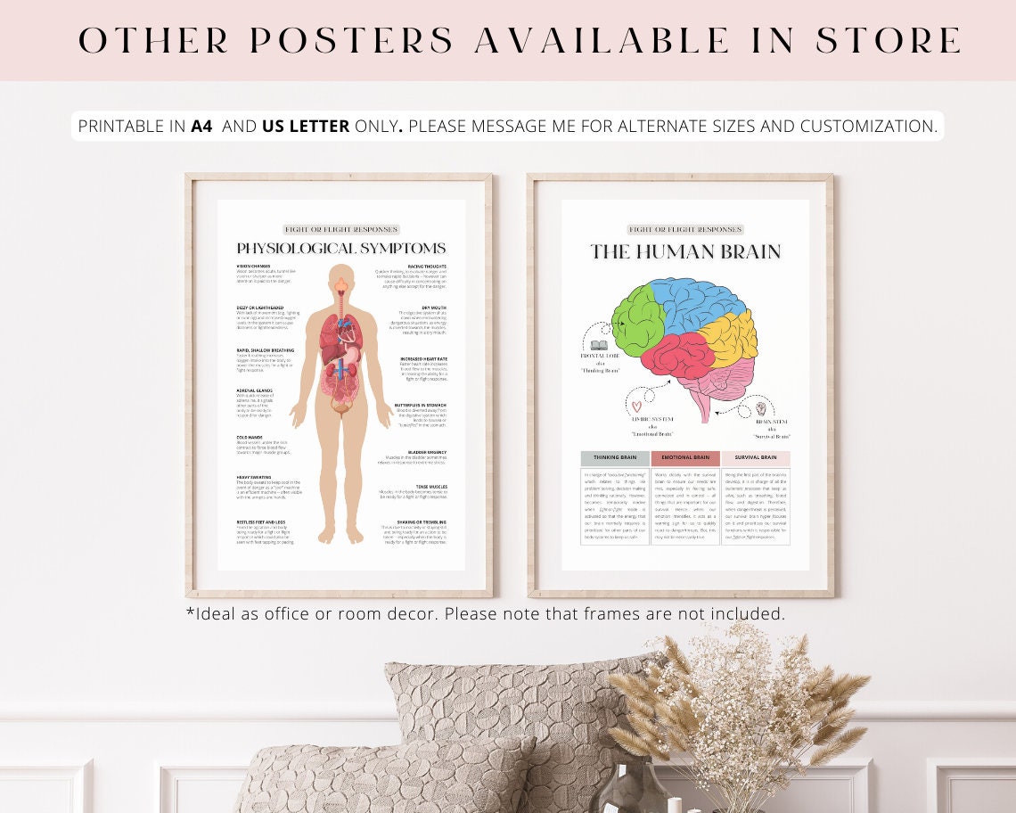 TRAUMA RESPONSES POSTER -- Fight/ Flight/ Freeze/ Fawn/ Coping ...