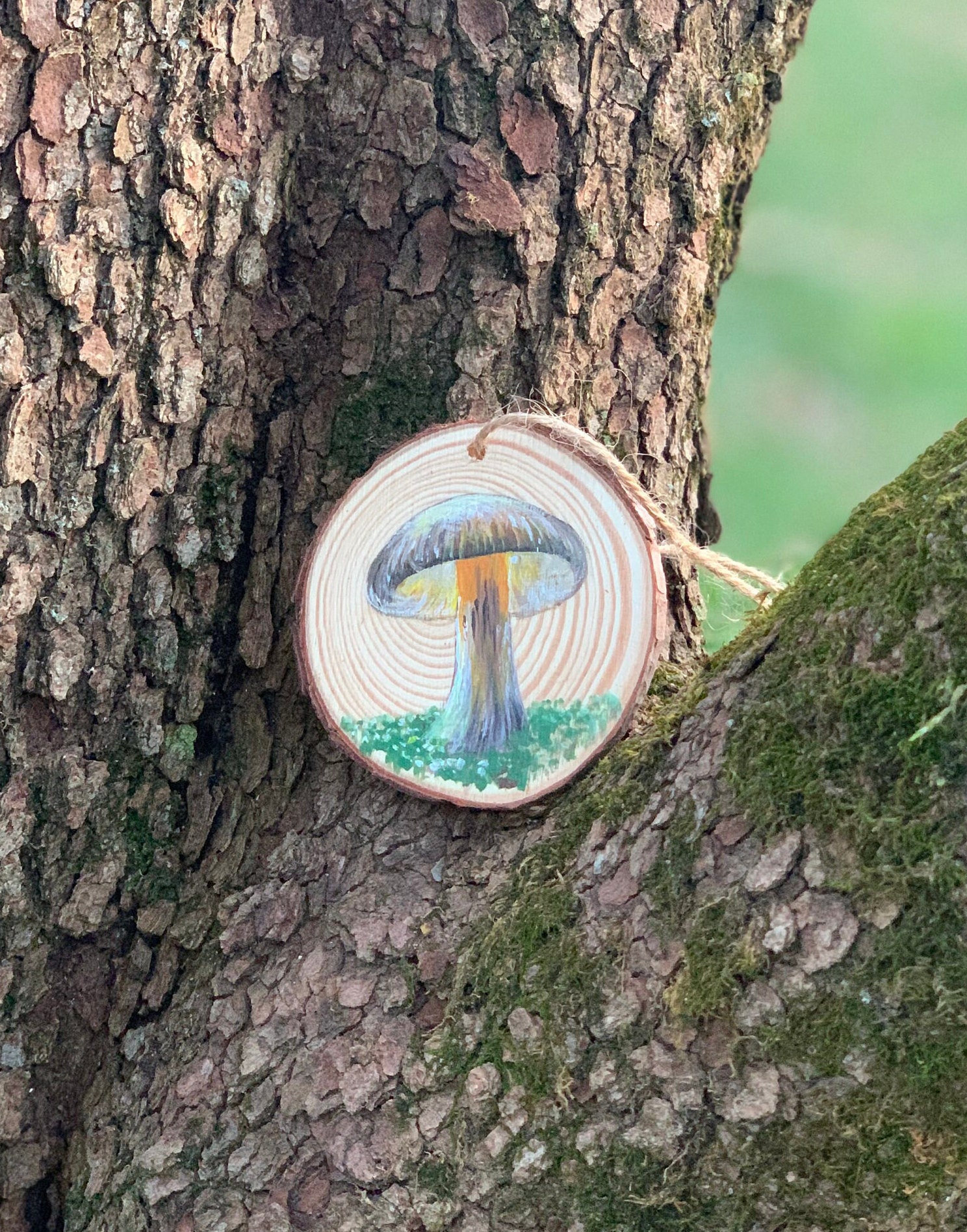 Hand Painted Live Edge Wood Mushroom Ornament - Etsy