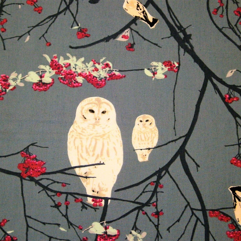 Owl Cotton Fabric - Etsy