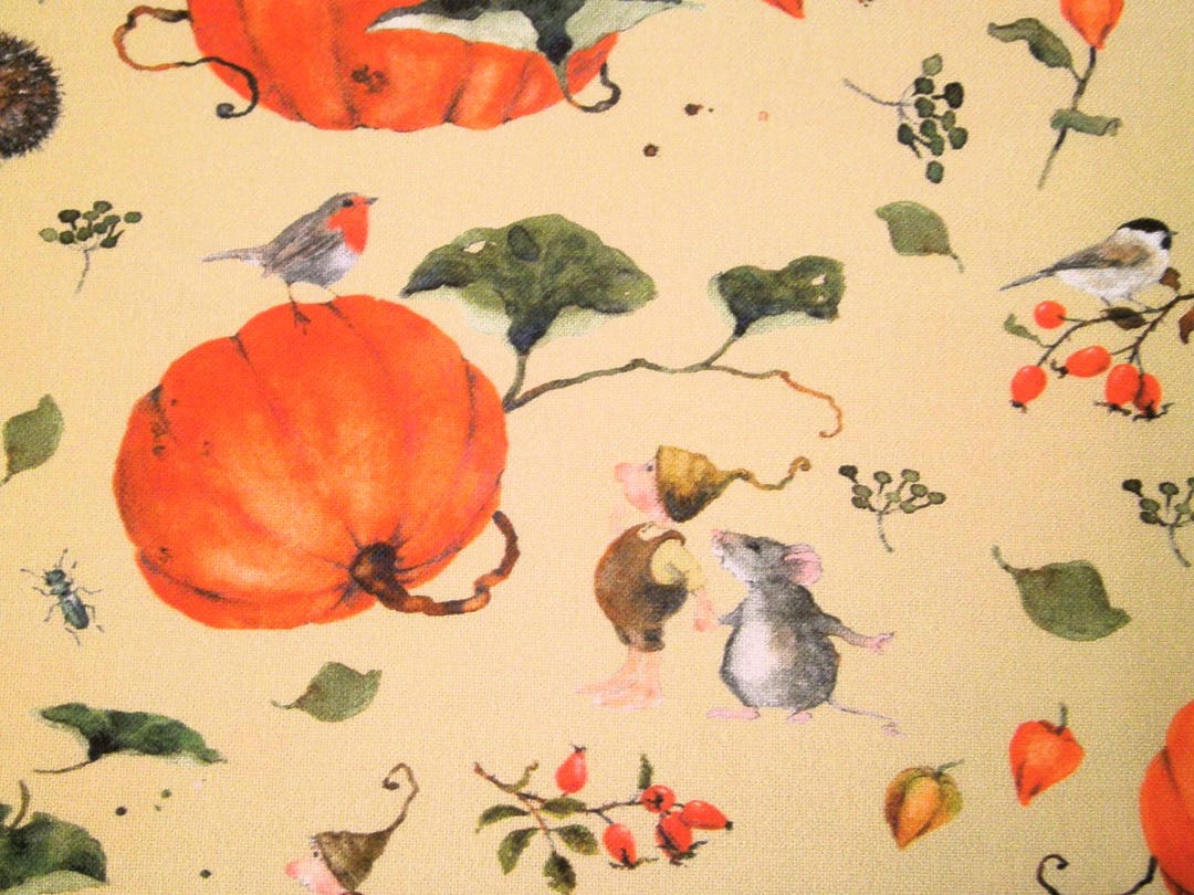0.5 M Print Fabric Organic Cotton Fabric - Pumpkin Gnome - 150 Cm Wide ...