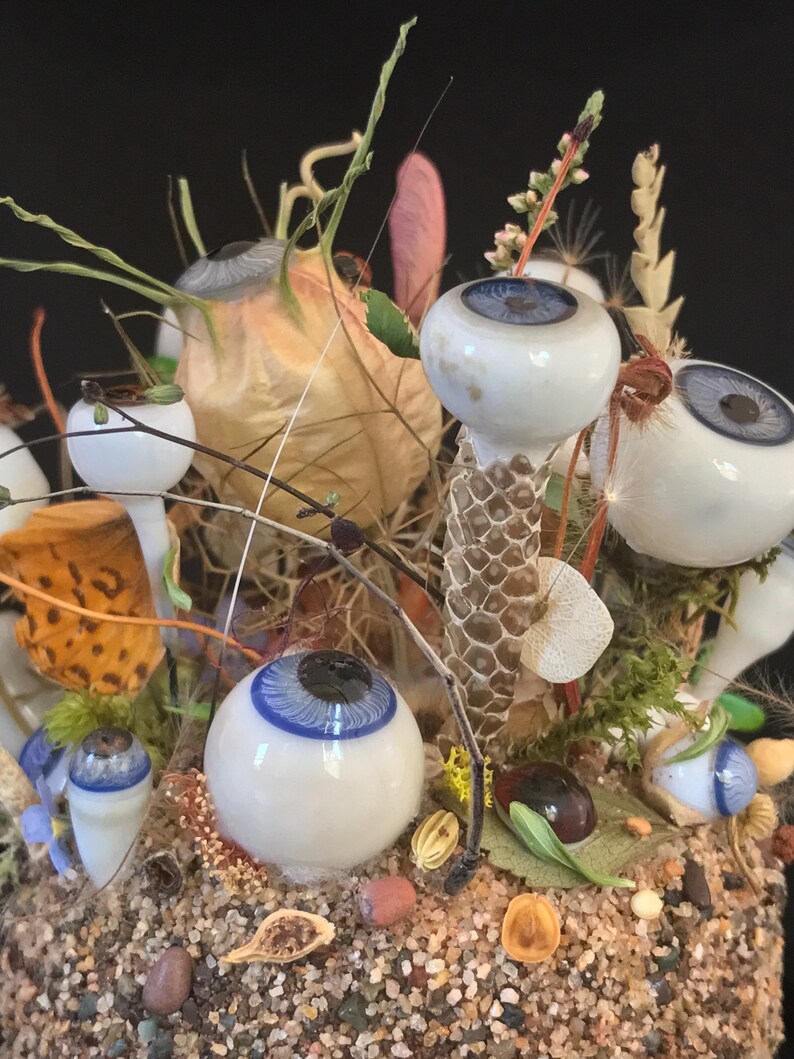 Glass Doll Eye Defects Diorama: Antique Hand-blown Eyes & Nature - Etsy