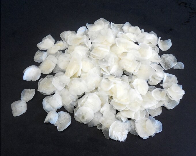Natural Real Fish Scales Tiny to Small 1/2 Cp Marine Ocean Fish Scales ...