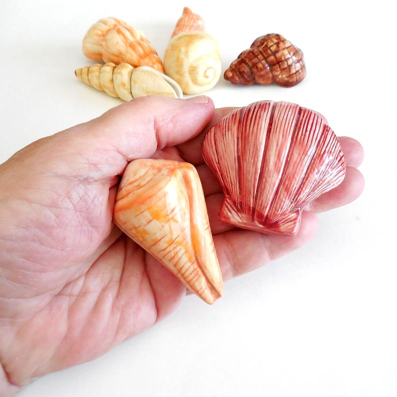 Vintage CERAMIC Seashell Mix 7 Pc Set Tropical Decor Beach House Gift ...