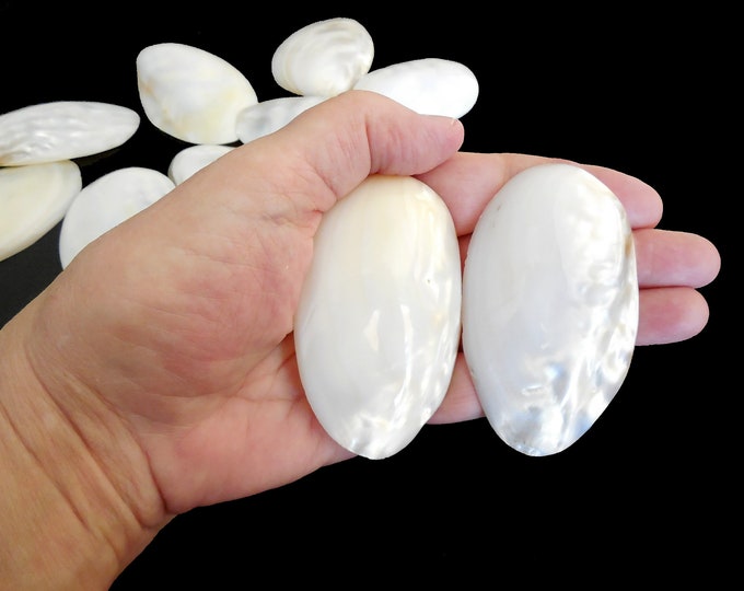 Polished Mother of Pearl Cebu Clam Shells 4 Pcs 3 3/4- 4 Inches - Etsy