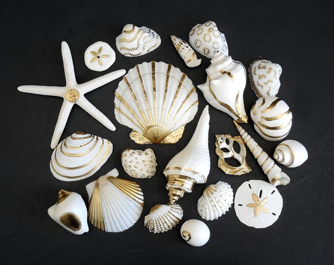 Seashell Mix Gold & White 1/2 Lb, Beach Shell Assortment, Craft Sea ...