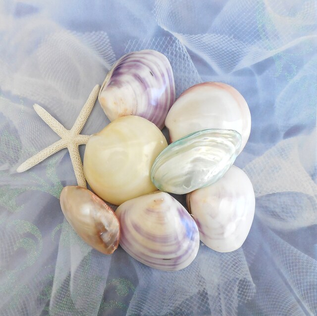 CoastalGlamour - Etsy