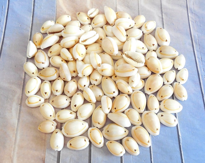 Bulk Cowrie Shells Drilled 2 Holes 100 Pcs 1/2 3/4 Craft & Jewelry ...