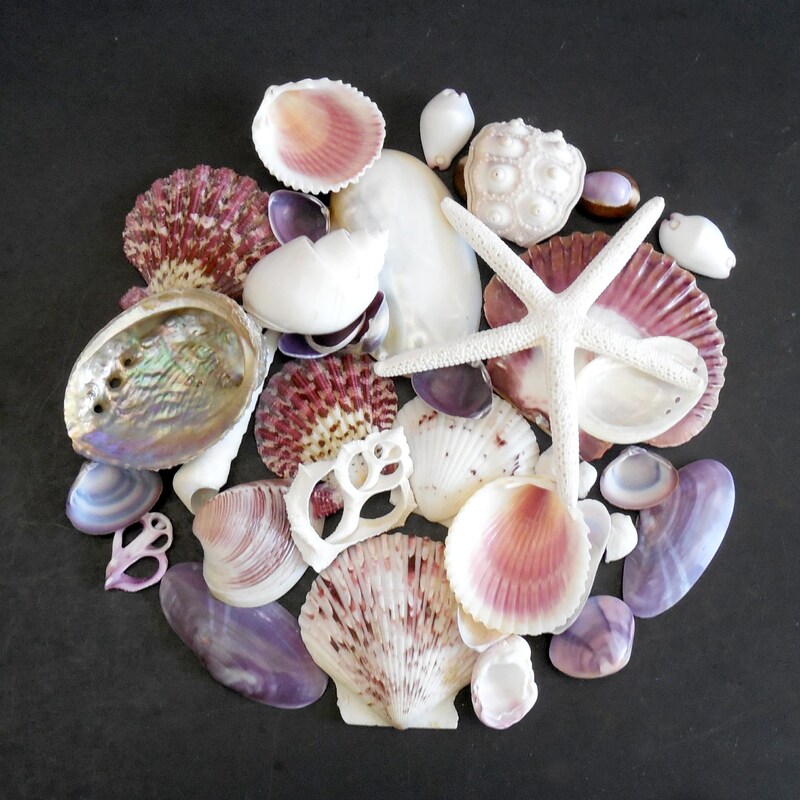 CoastalGlamour - Etsy