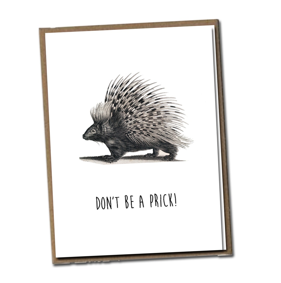 Funny Porcupine Linen Greeting Card: Friendship Humor - Etsy