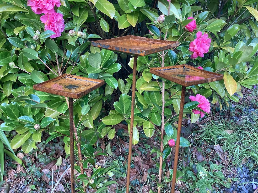 Rusty Rain Catcher, Square Bird Bath: 50cm Garden Sculpture, Bee Water ...