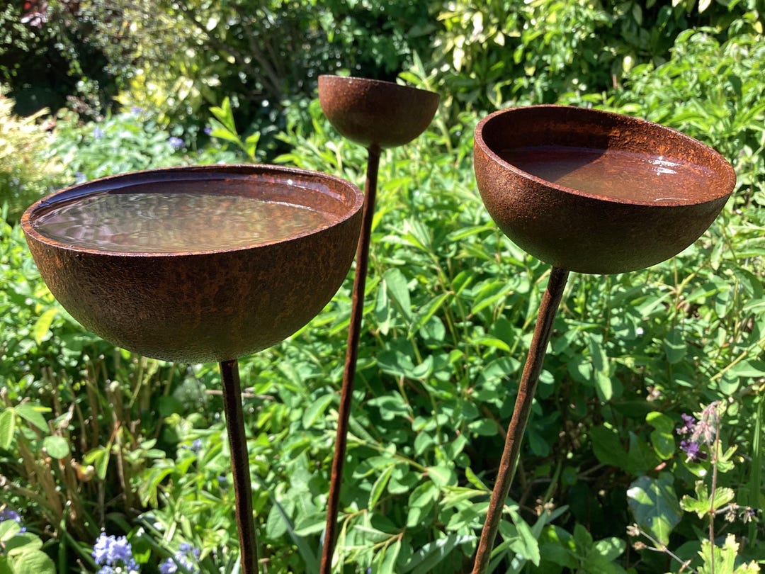 Extra Large Bowls, 50cm Tall Rusty, Potted Plant Rain Catchers, Bee and ...