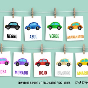 BUNDLE Printable Bilingual Color Flash Cards for Kids Learning ...