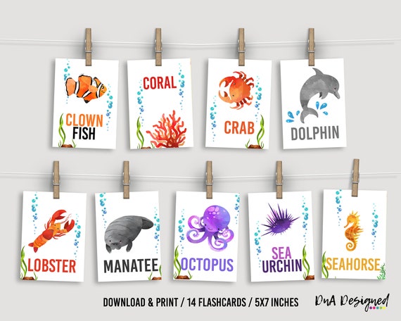 Printable Sea Life Flash Cards for Kids Learning DIGITAL - Etsy