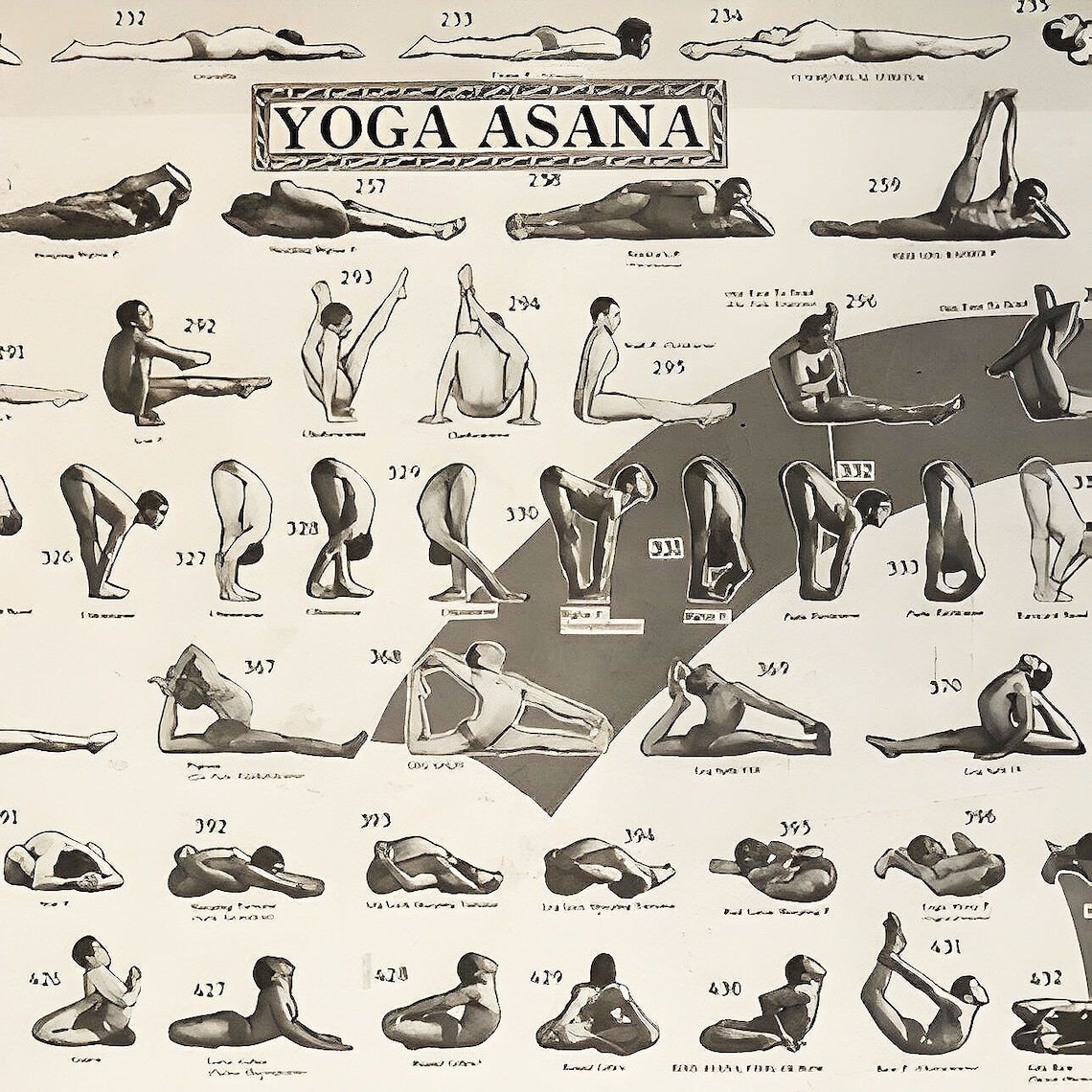 56 Inch Master Yoga Chart of 908 Postures by Dharma Mittra Mounted ...