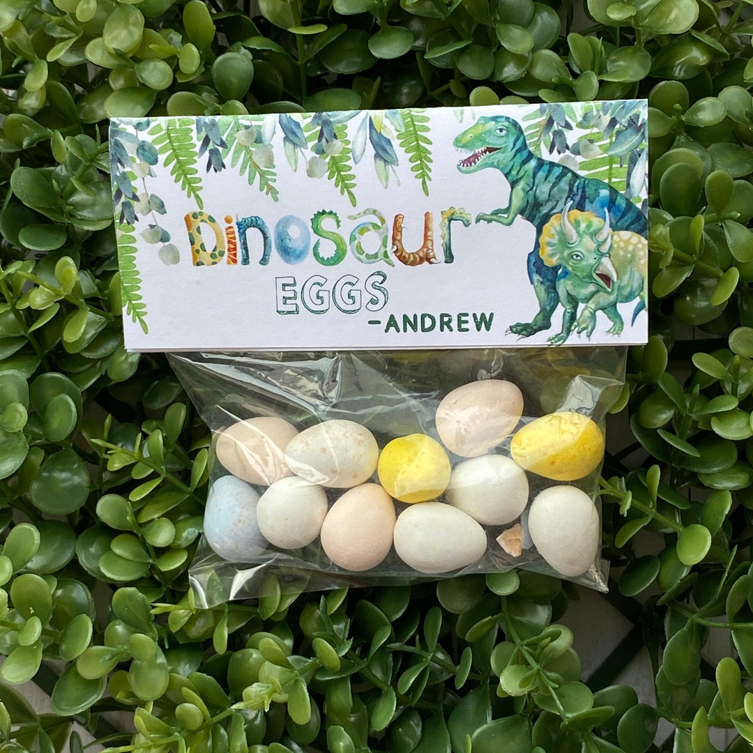 Dinosaur Party Favor Header Card and Bags ONLY, Dinosaur Eggs, DIY ...