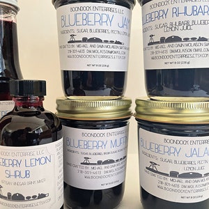 Blueberry Lovers Package - Blueberry Syrup, Blueberry Shrub and 4 ...