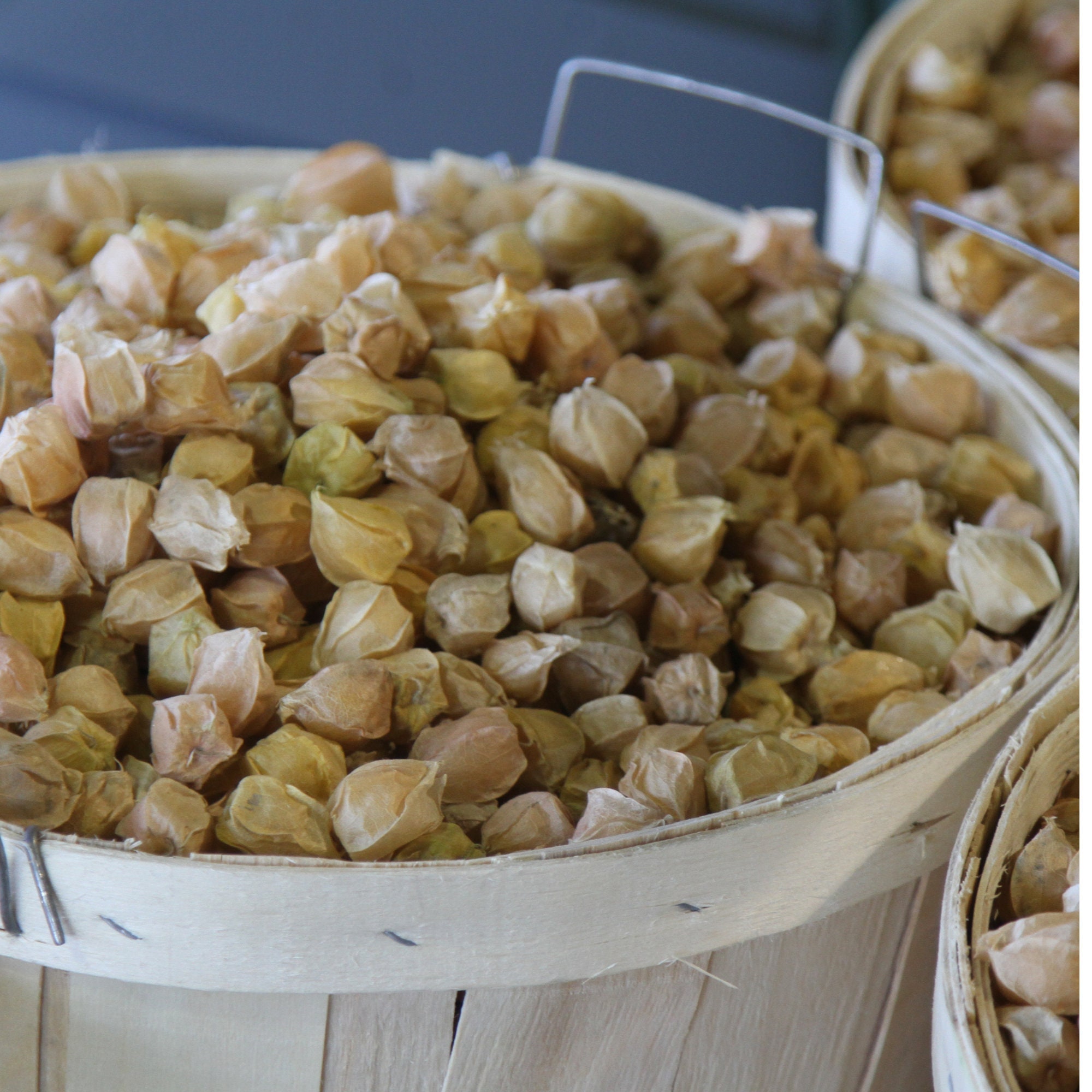 Ground Cherry Jam - Homemade Heirloom Preserves - Etsy