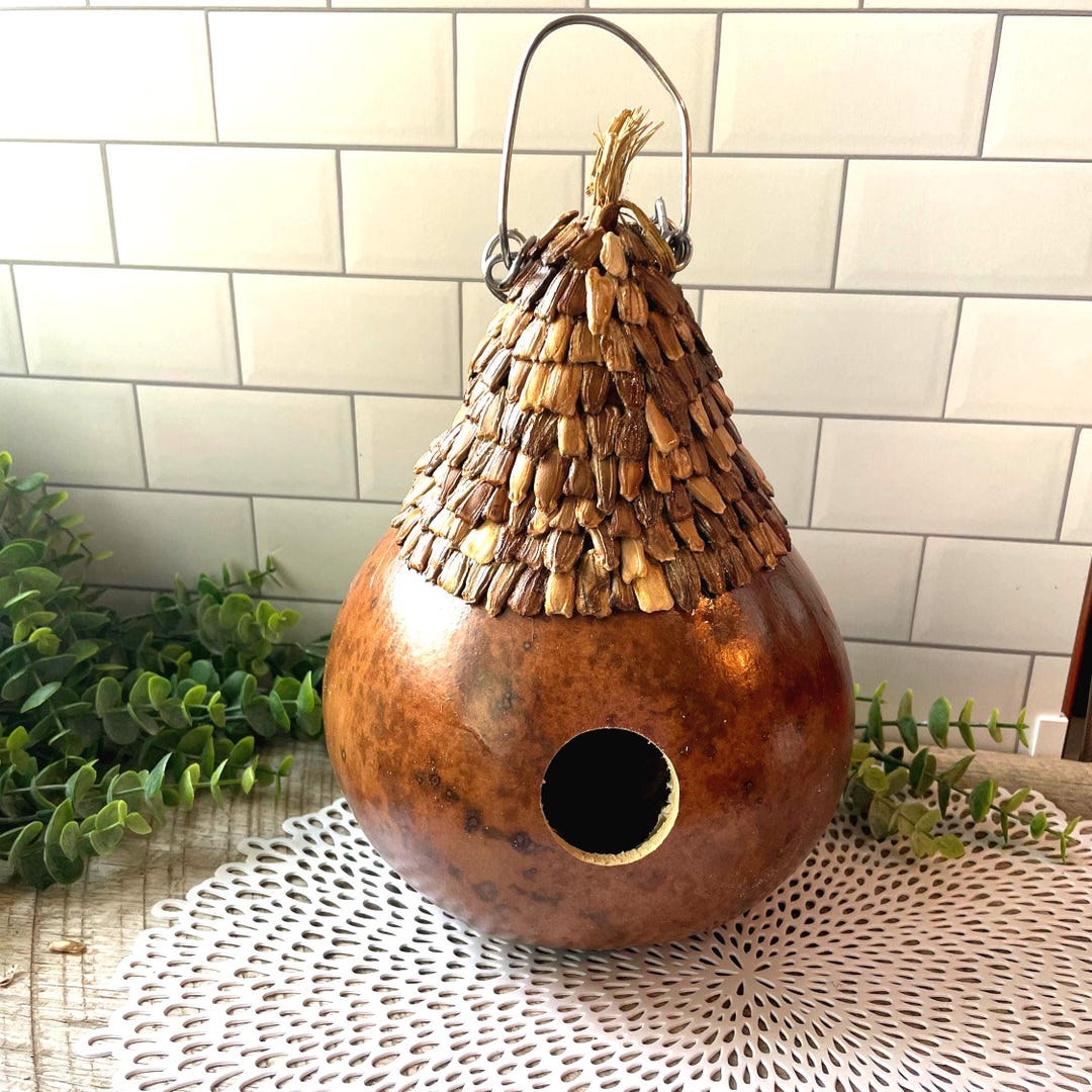 Birdhouse Gourd With Gourd Seed Roof - Pecan Brown Gourd Dye - Perfect ...
