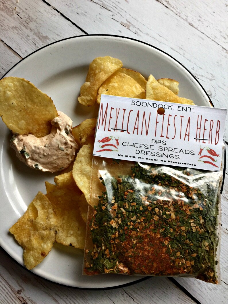 Mexican Fiesta Herb Dip Mix Dried Seasoning Spicy Party | Etsy