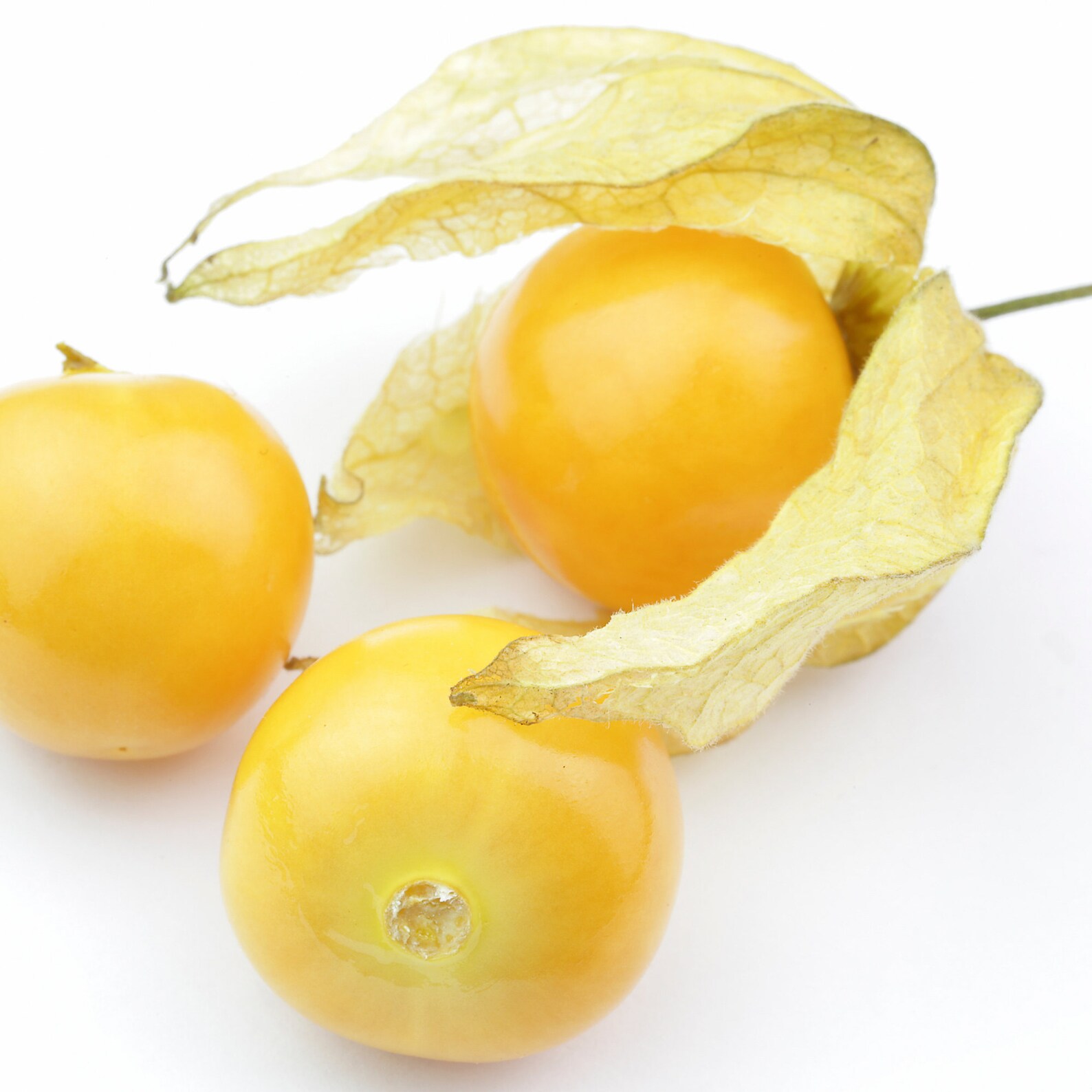 Ground Cherry Jam - Homemade Heirloom Fruit Preserves - Small Batch ...