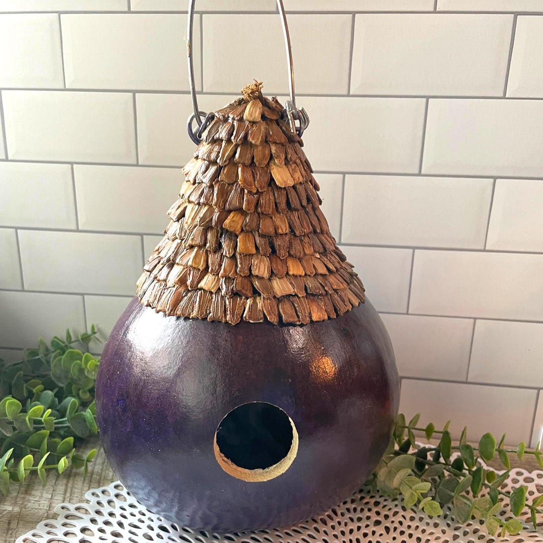 Birdhouse Gourd With Gourd Seed Roof - Eggplant Purple Gourd Dye ...