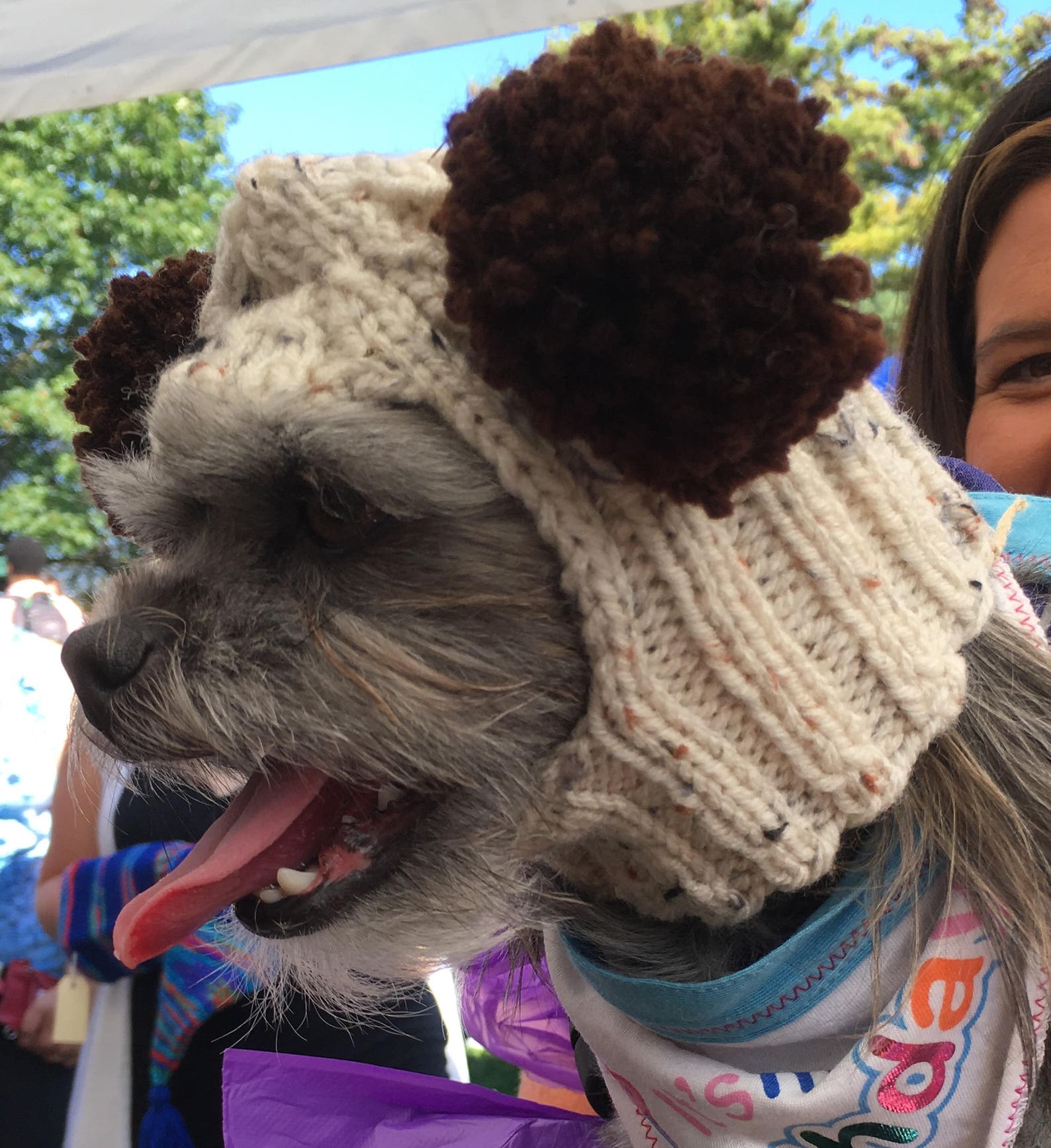 Dog Hat, CUSTOM ORDER, Ewok Hat, Yorkie Hat, Maltese Hat, Greyhound Hat ...