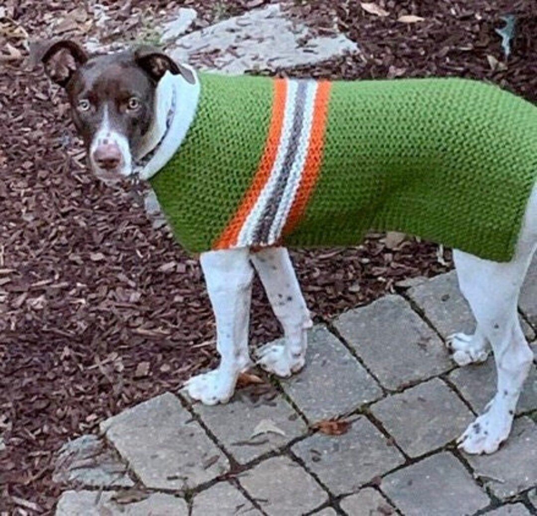 Irish Green Orange Dog Sweater Irish Pride Cozy Fun Made to Order Dog ...