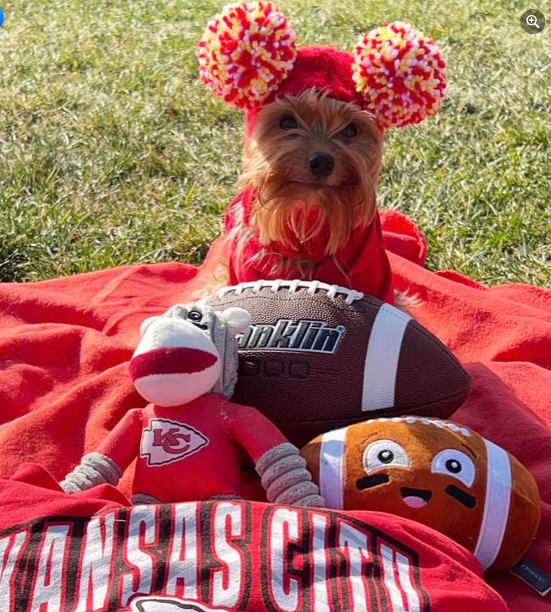 Kansas City Chiefs NFL Colors Dog Hat,custom Order,greyhound Hat ...